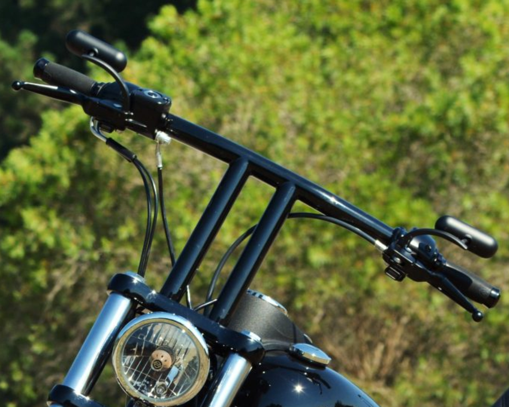 Burleigh Bars - Black 1 3/4" X 16" T-Bar with speedo